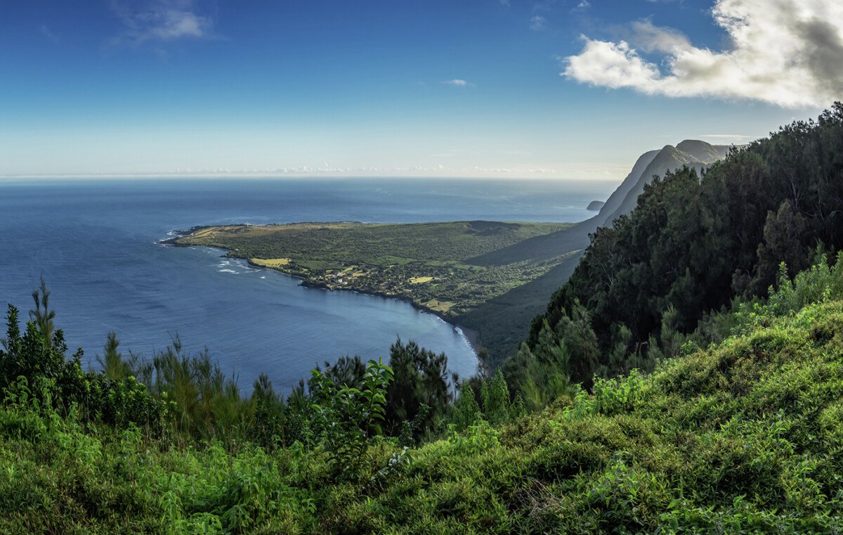 Greg Warner - Walker Warner