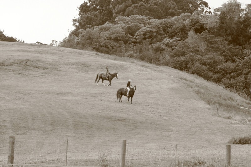 Greg Warner - Walker Warner