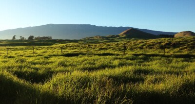 Greg Warner - Walker Warner