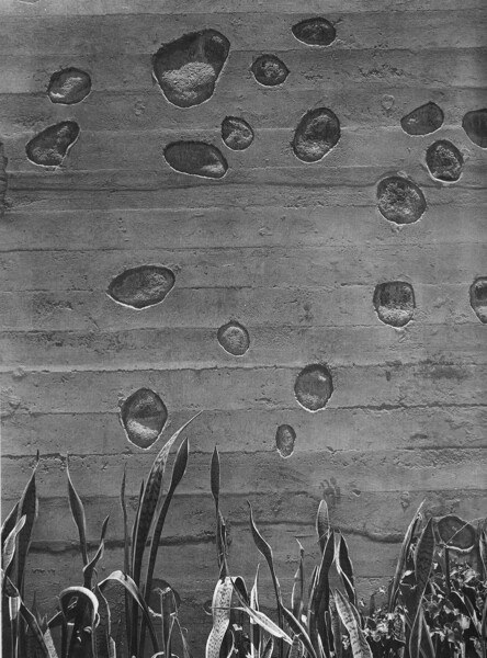 Greg Warner - Walker Warner