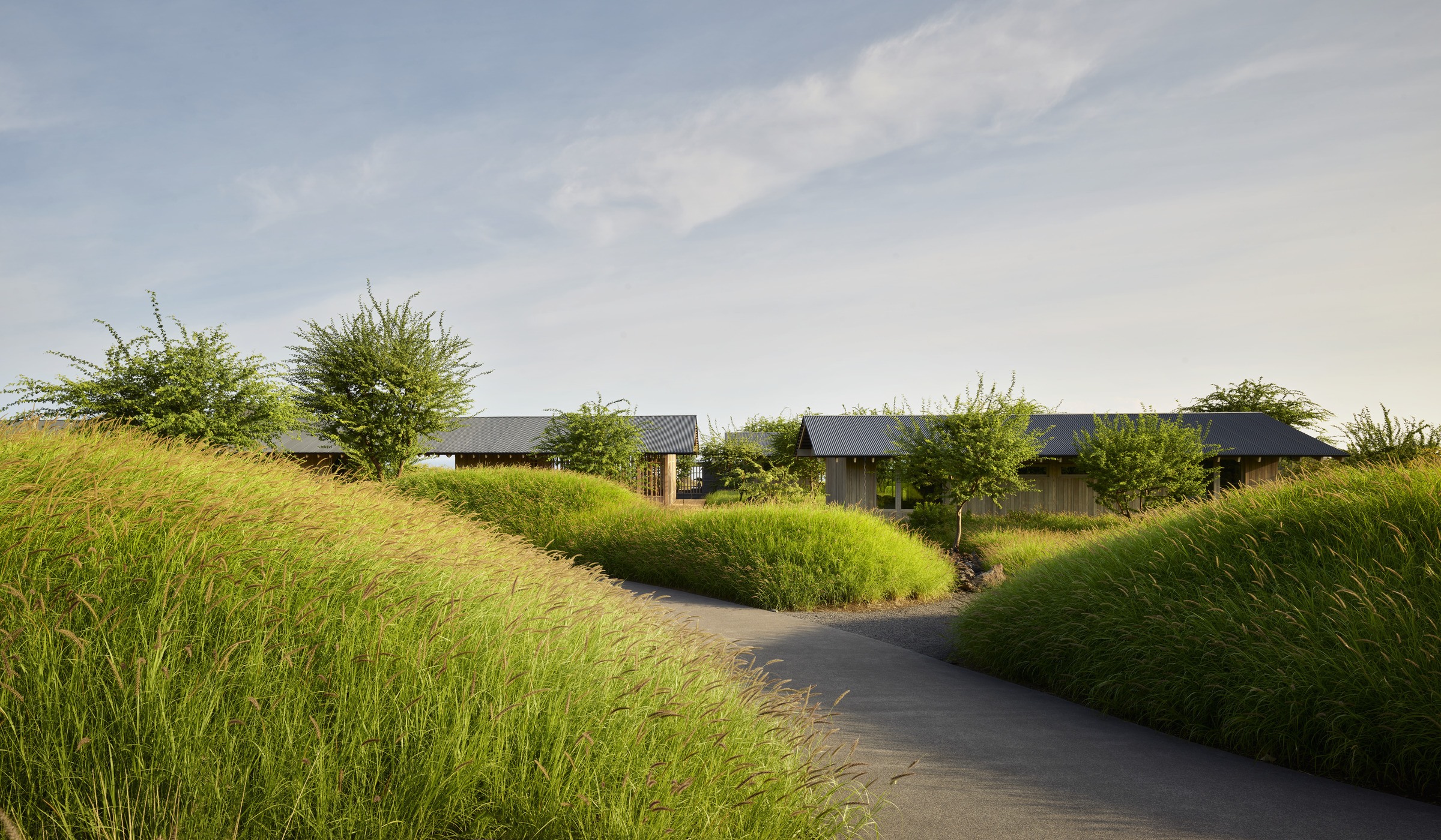 Work - Walker Warner