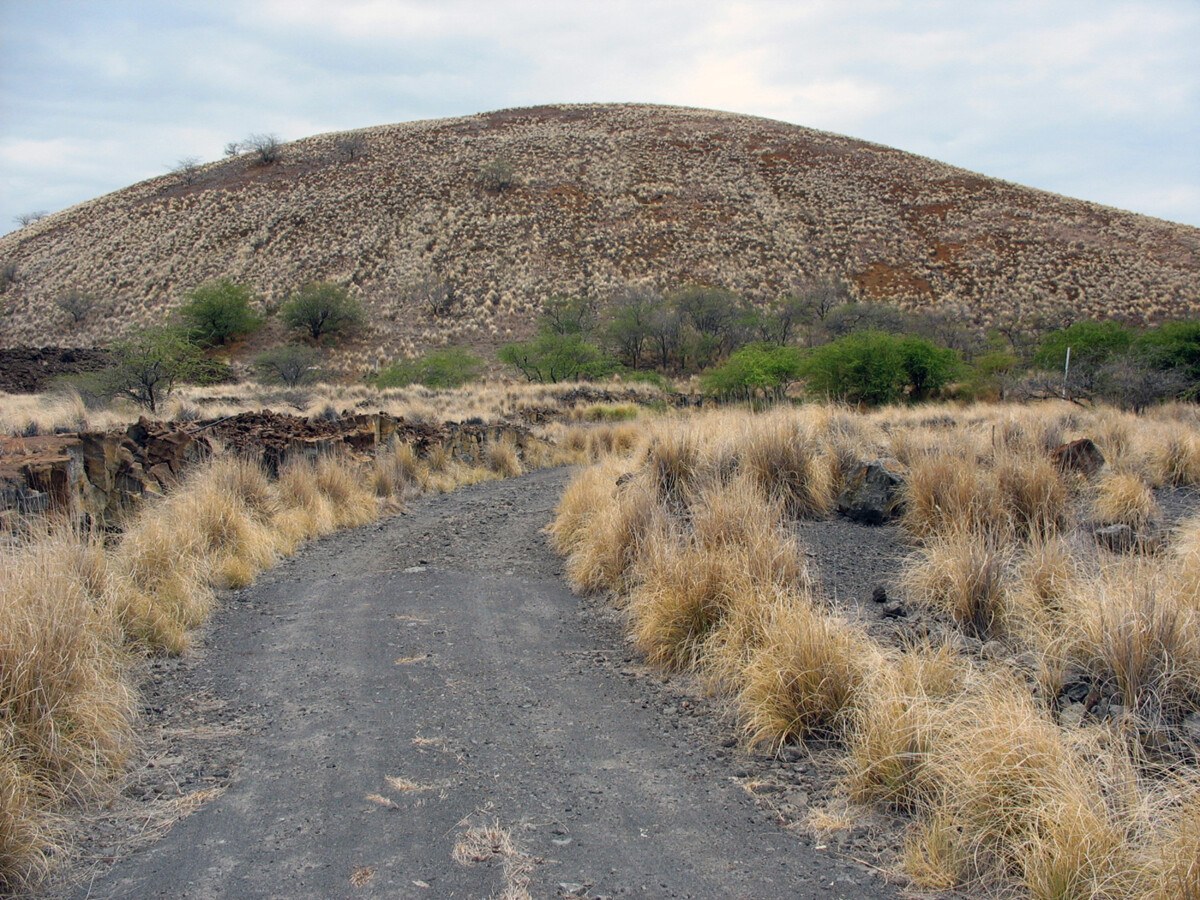 Kahua Kuili - Walker Warner