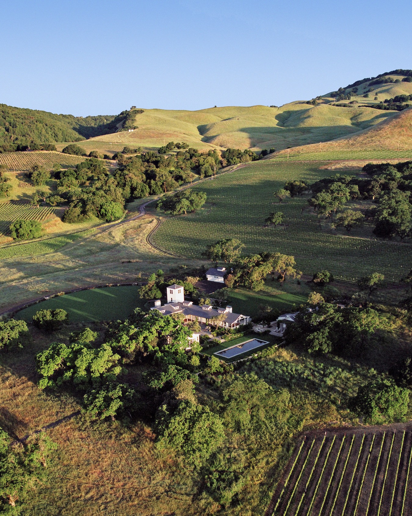 About - Walker Warner