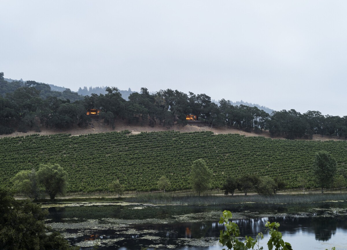 Quintessa Estate - Walker Warner