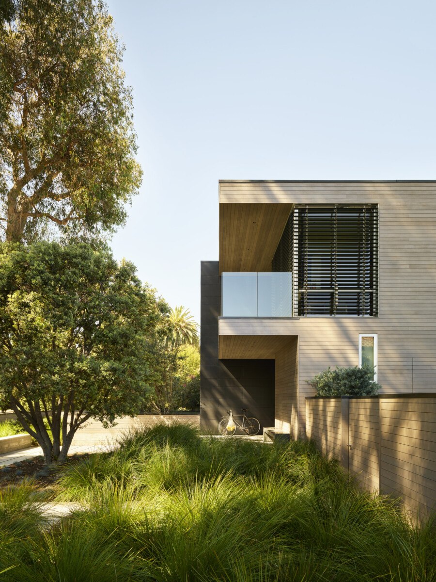 Baja - Walker Warner