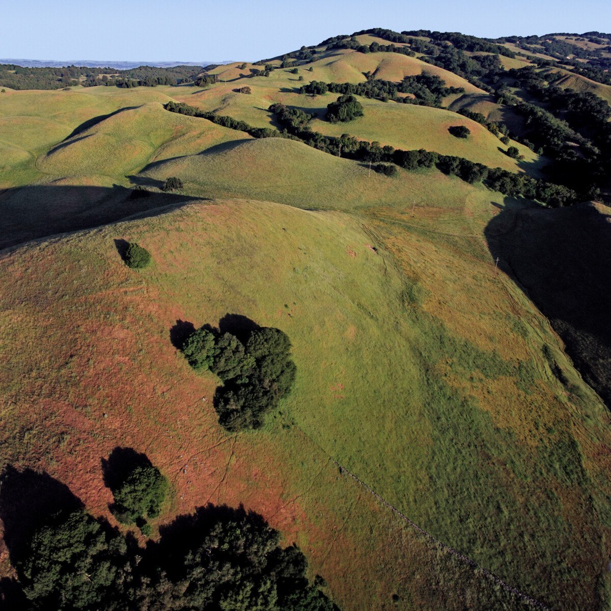 Sonoma Ranch - Walker Warner