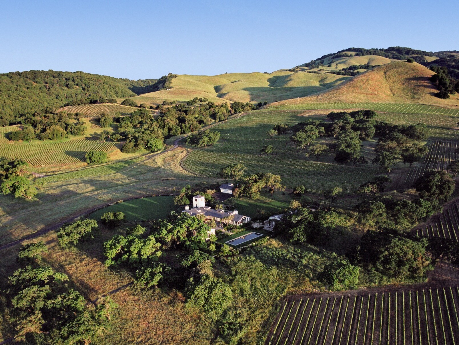 Sonoma Ranch - Walker Warner