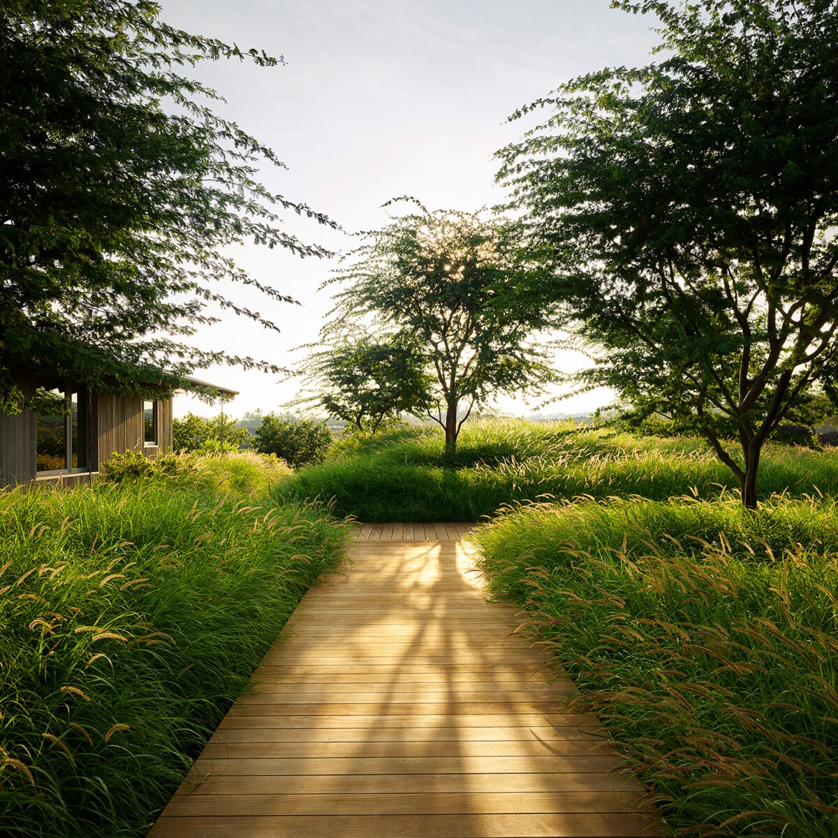 Ethos - Walker Warner