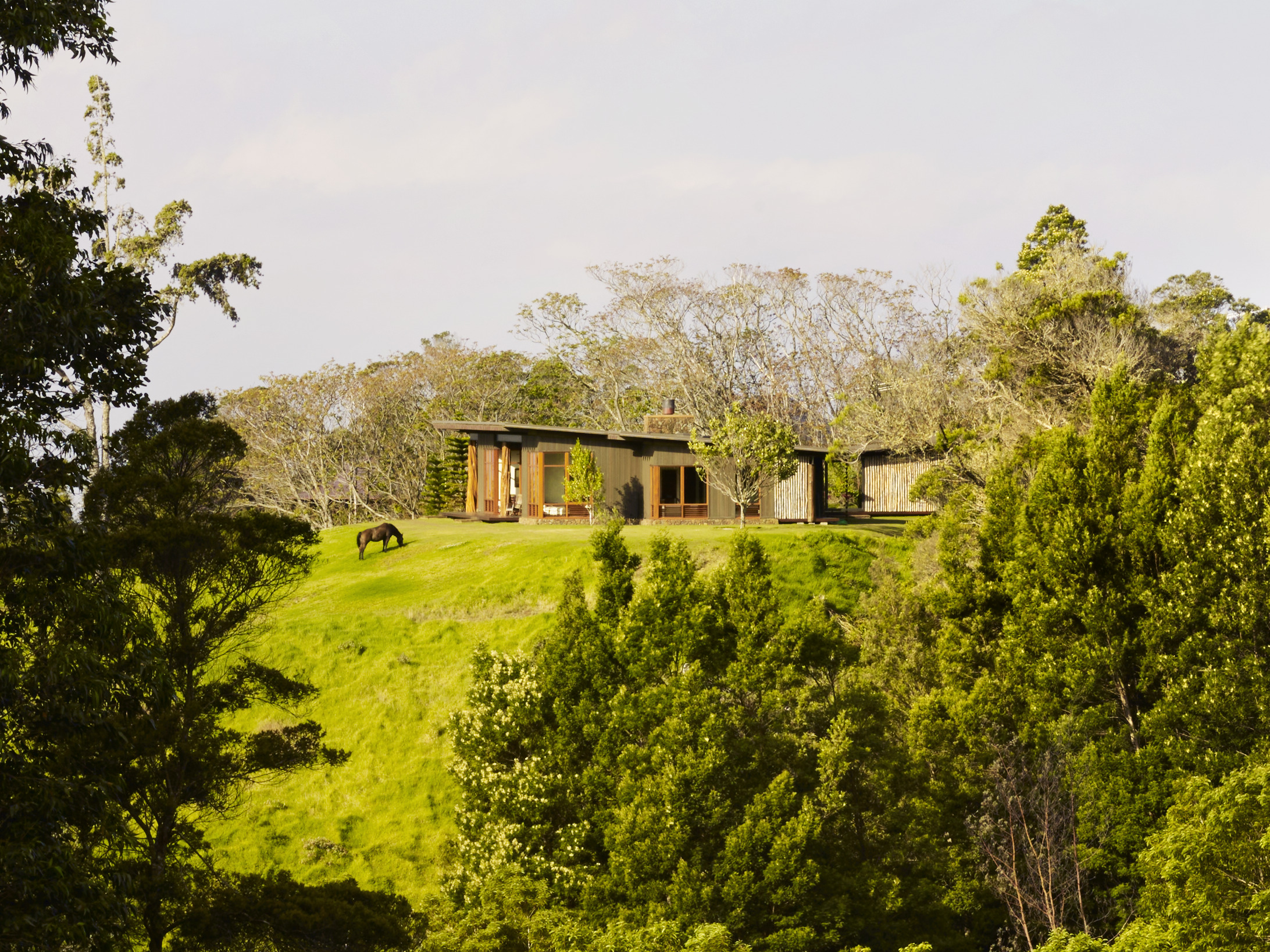 Sharon Okada Takes AIA Honolulu Inside Hale Ma'alahi - Walker Warner