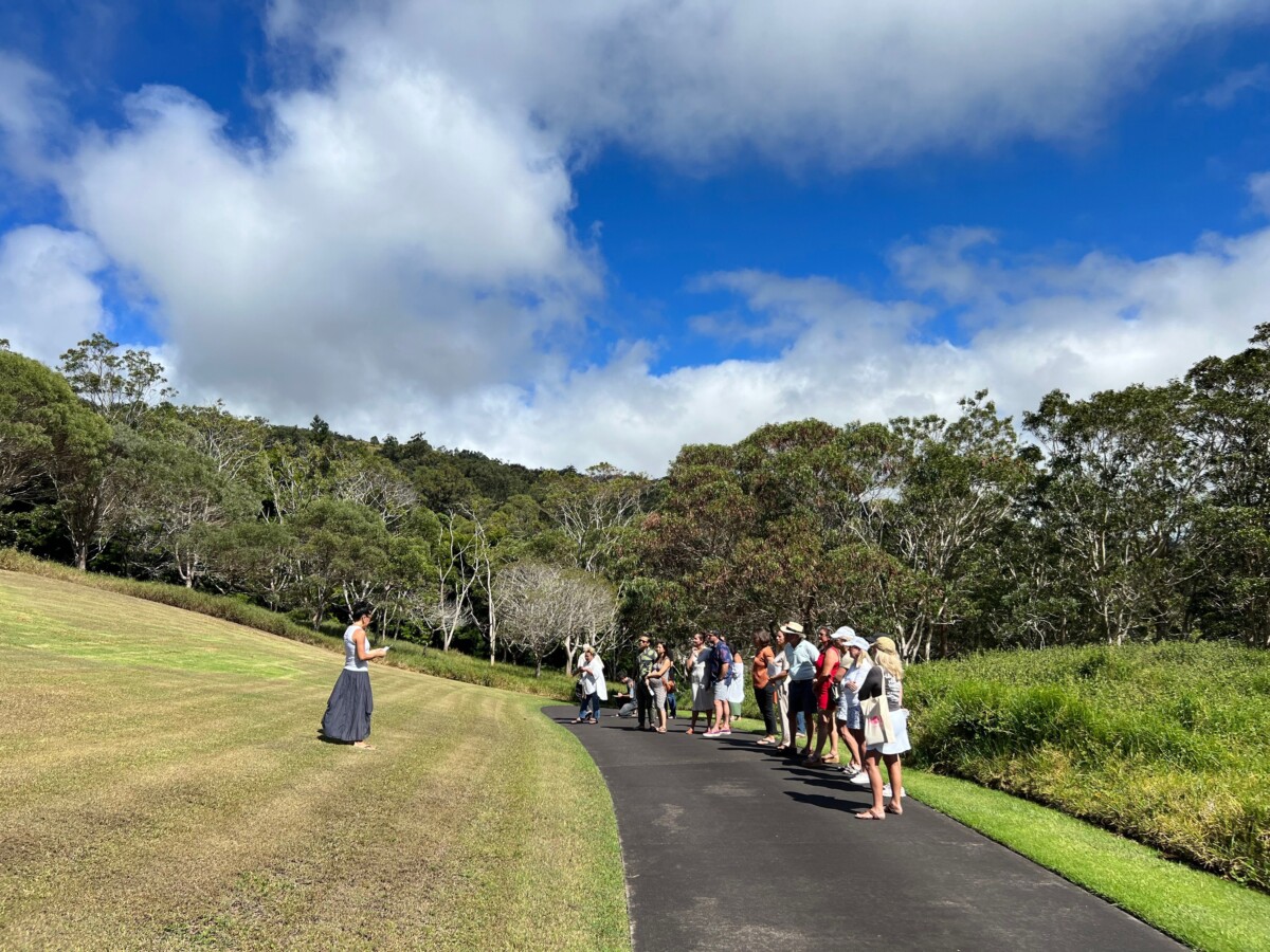 Announcing the Diversity in Architecture Scholarship - Walker Warner